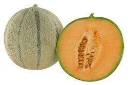 Galiamelone - Gemüse als Obst in Der Fruchtkorb